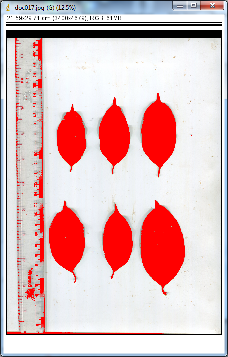 Best part of our life: Sharing! : [ImageJ] Threshold Color dan Wand ...