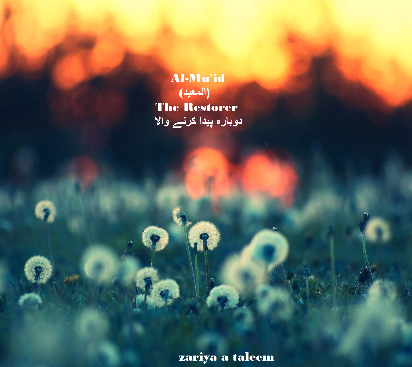 Allah 99 Name With Meaning Part two