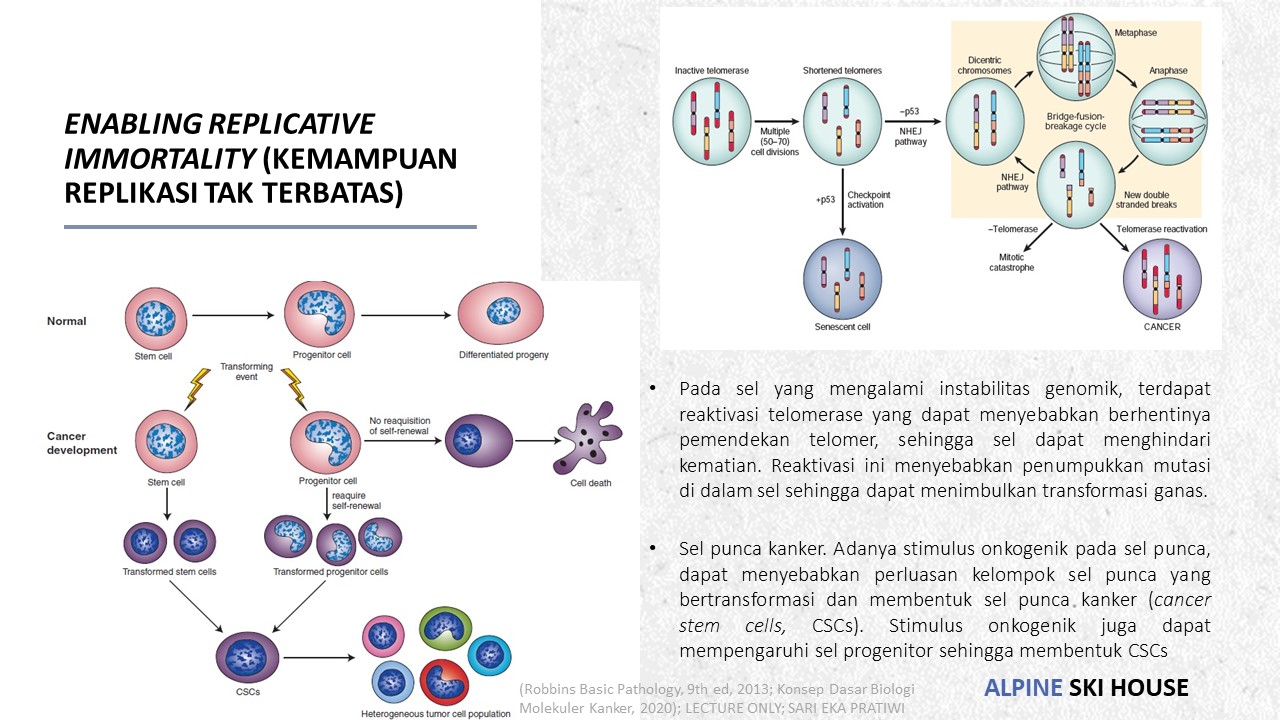 MOLECULAR BIOLOGY AND PATHOBIOLOGY : K-Karsinogenesis dan Konsep Dasar ...