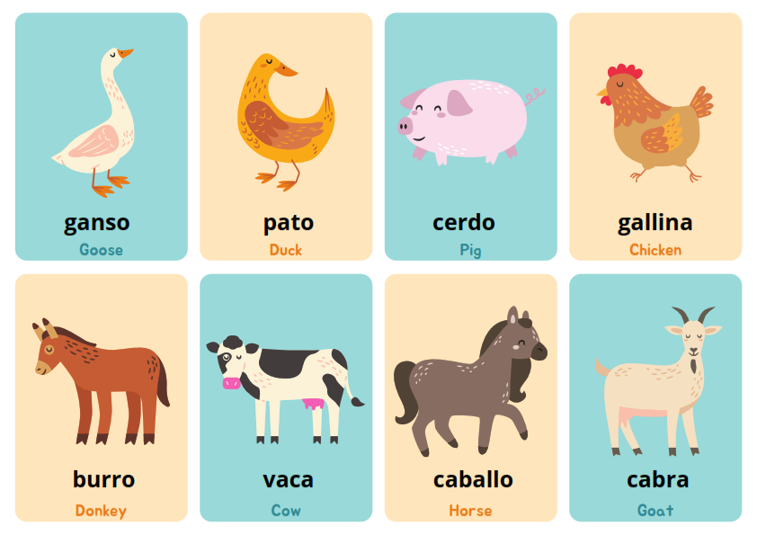 Animals 2 Flashcards in Spanish | Spanish to Go