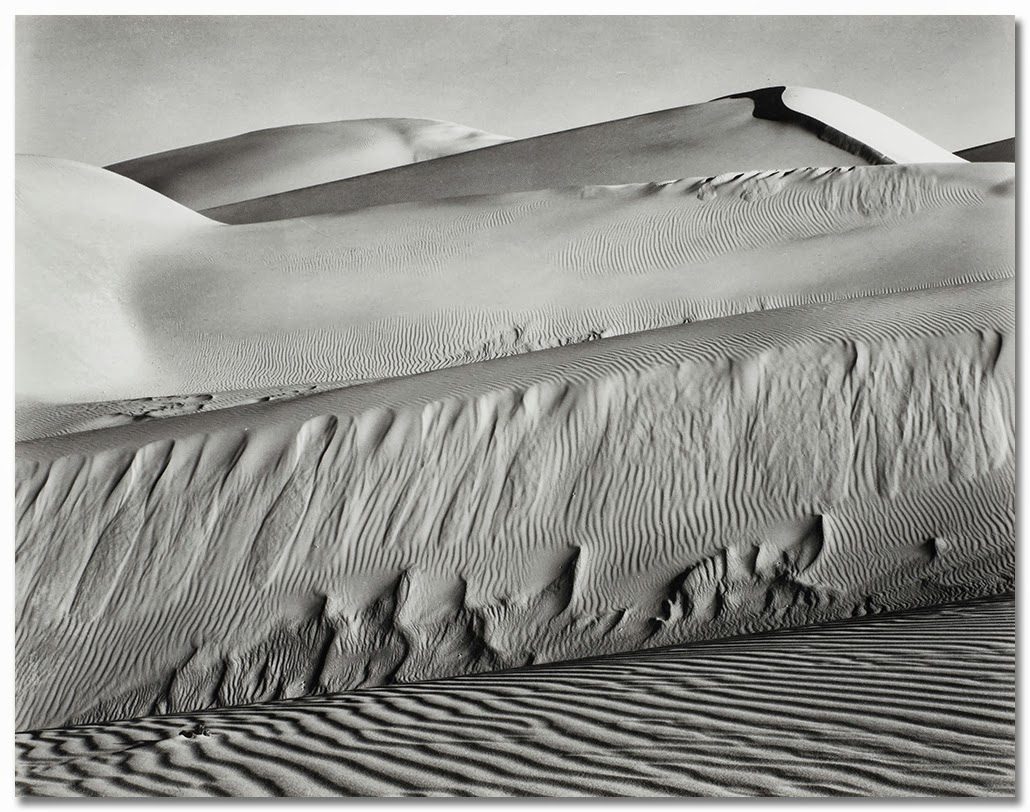 Totum Revolutum: La Fotografía Pura de Edward Weston
