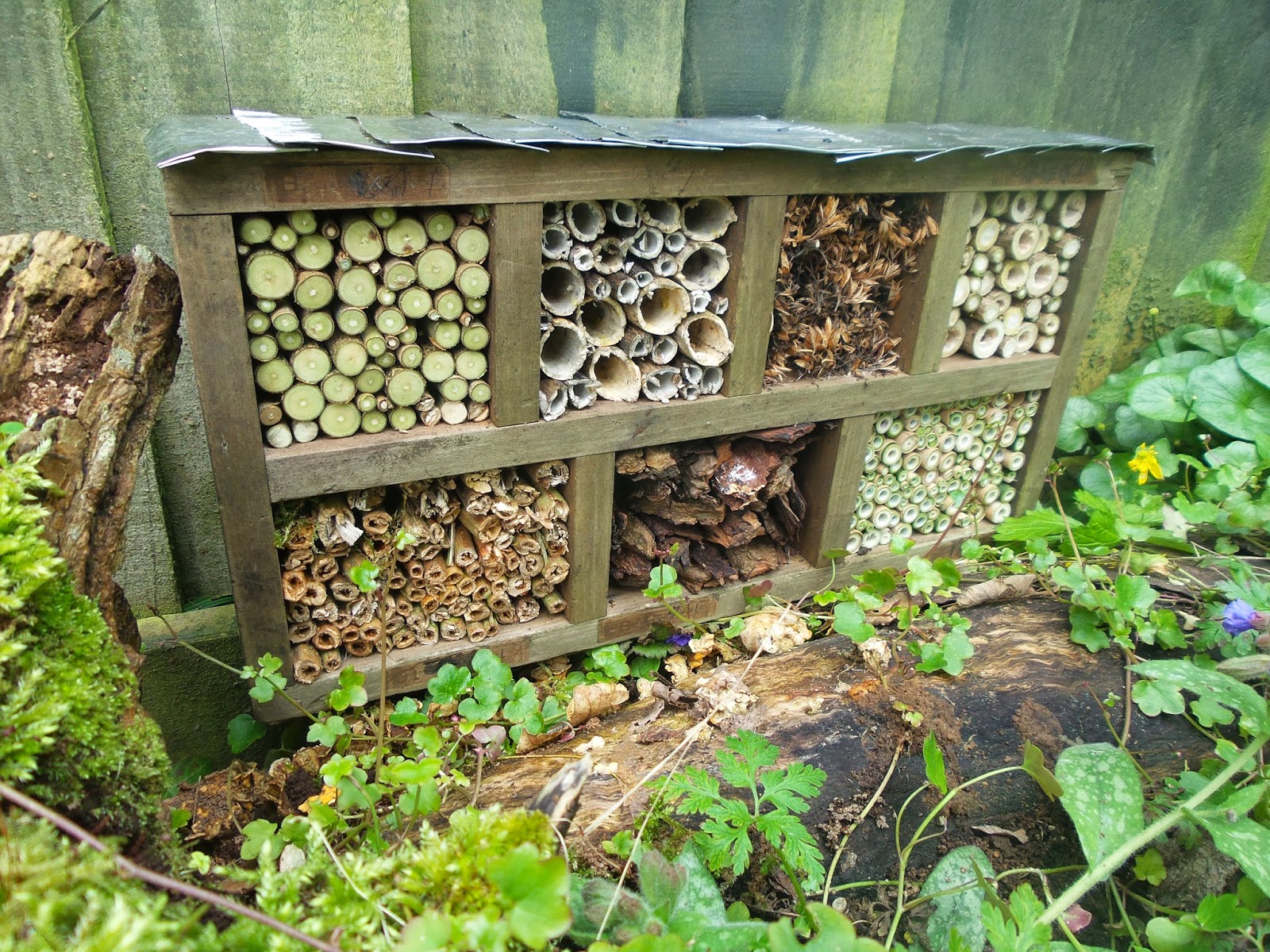 Rounded & Grounded: Bug House