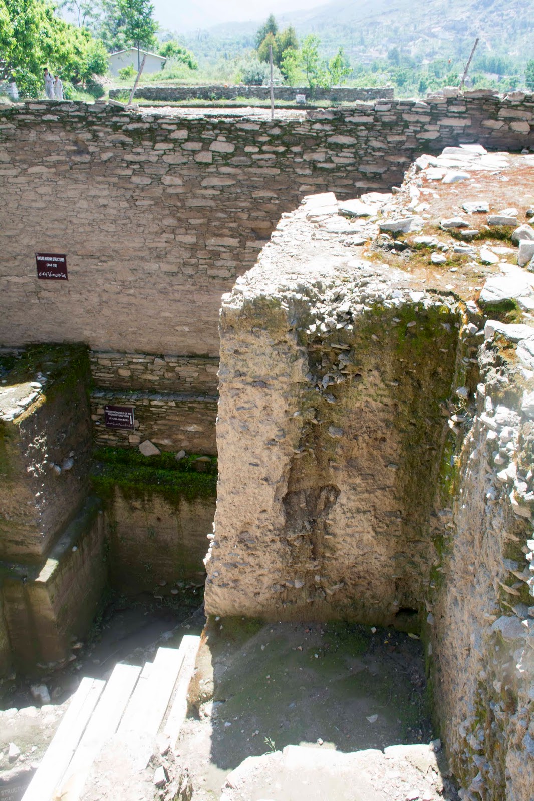 Ali Usman Baig : The Ancient Bazira of Alexander (2019)