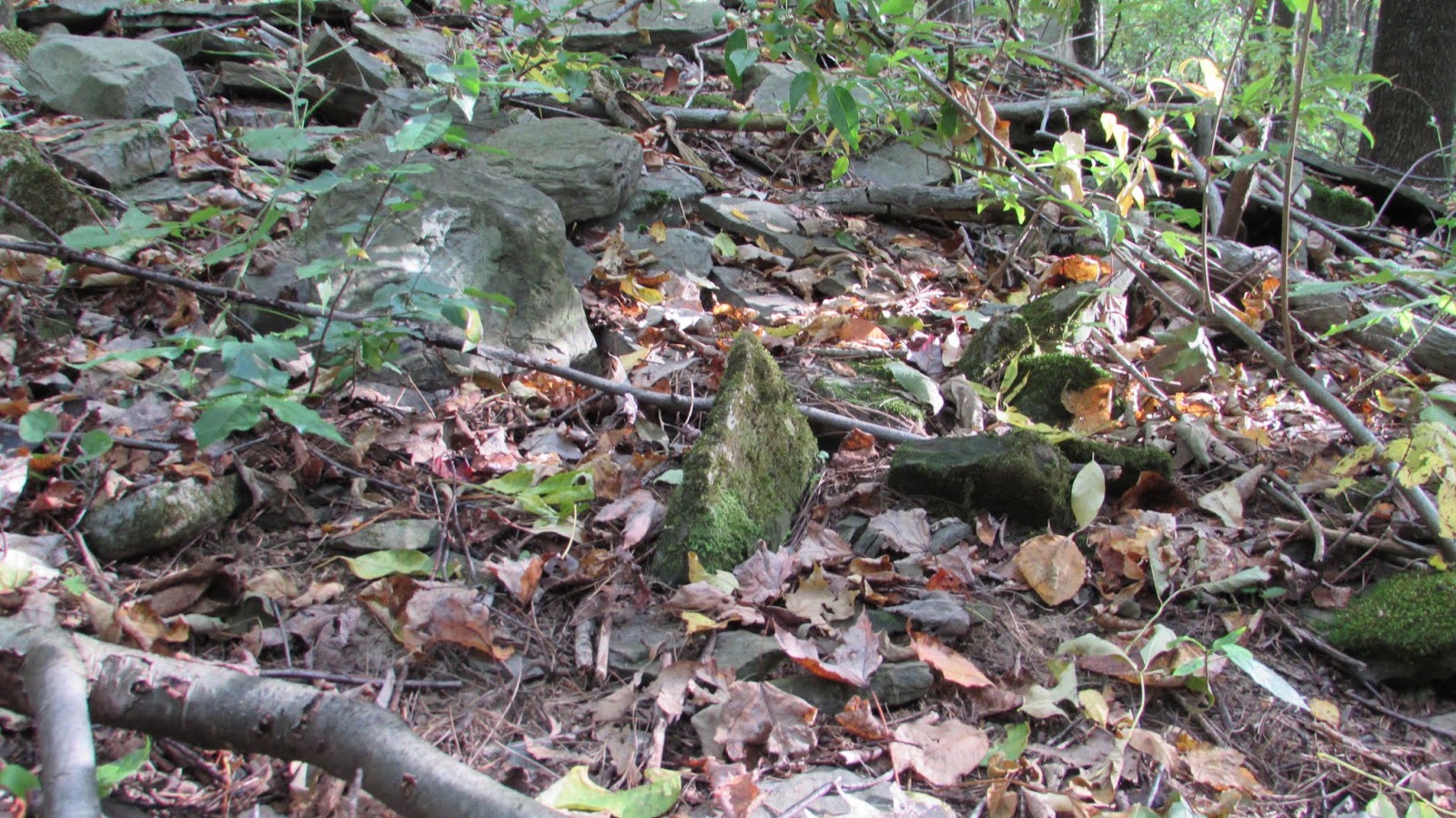 Clarks Gully NY--Ancient Sacred Site