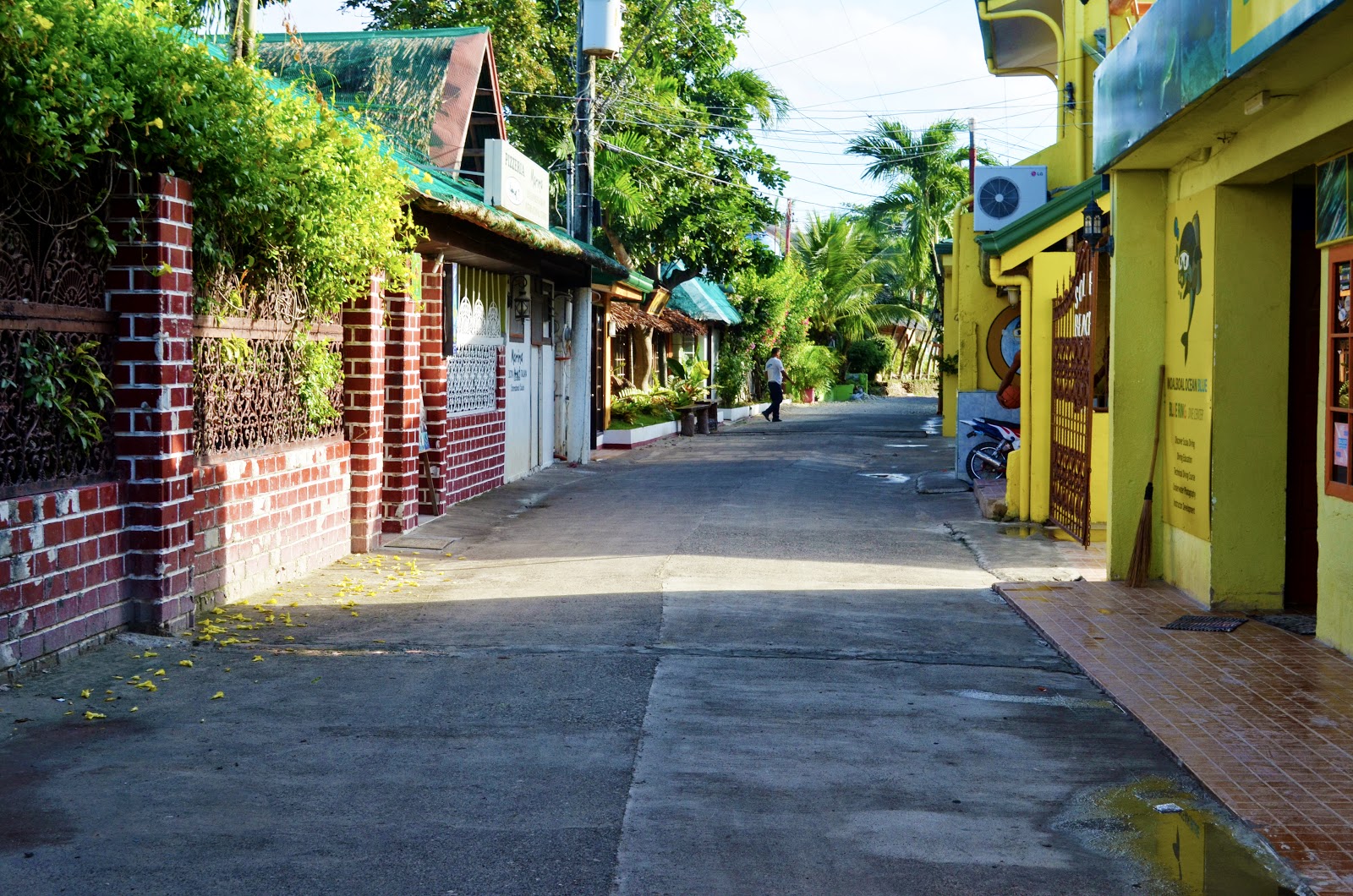 H E L L O ♥ K I M M Y : Moalboal Backpacker Lodge