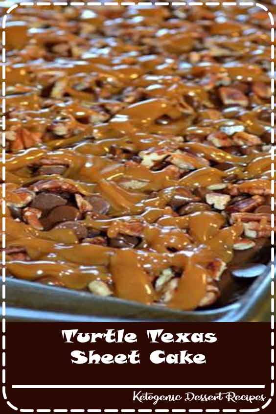 Turtle Texas Sheet Cake - Healthy Recepes Swanson