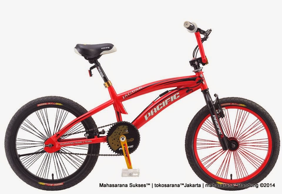 Sepeda BMX Pacific Jaguar FreeStyle 20 Inci ~ News Untuk Anak Anda