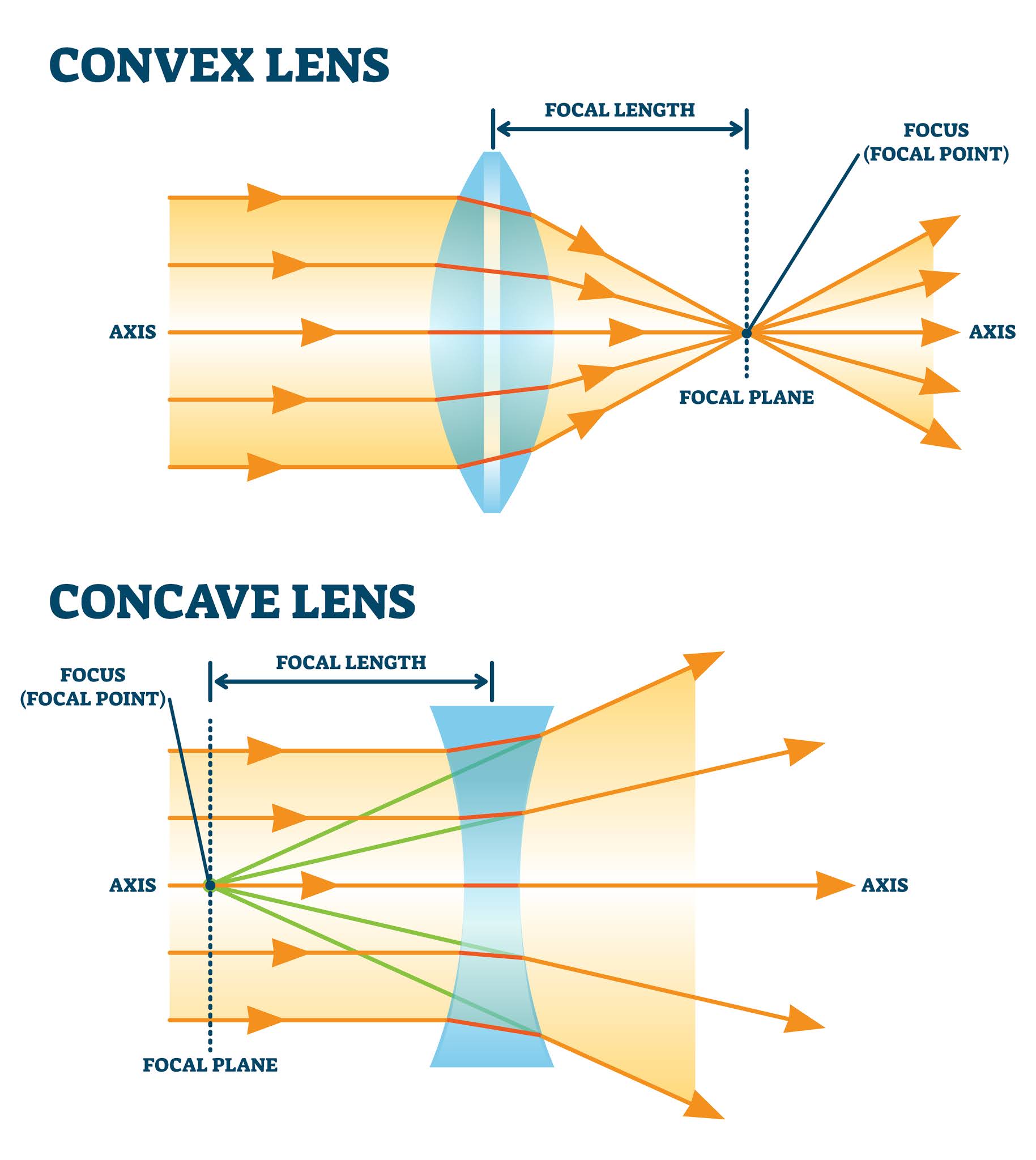 How Does The Human Eye Work MooMooMath And Science