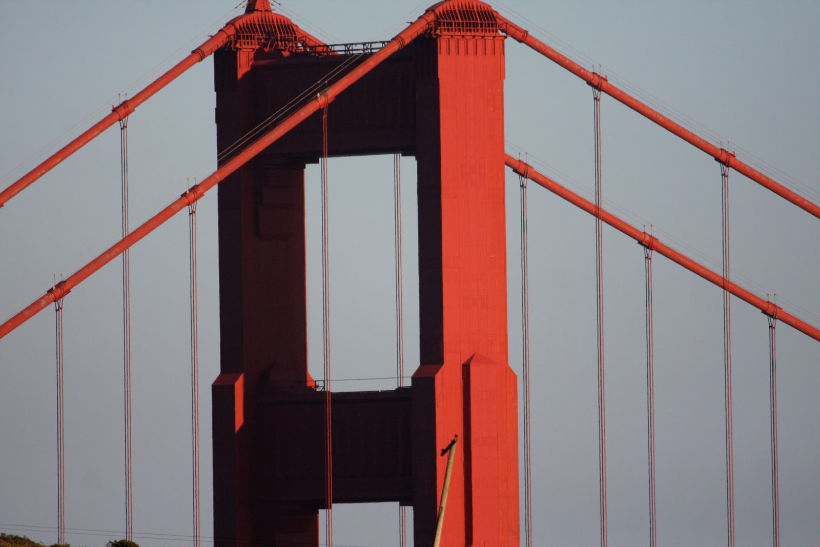 Miami Blue Butterfly: San Francisco's Golden Gate Bridge: A Study of Angles