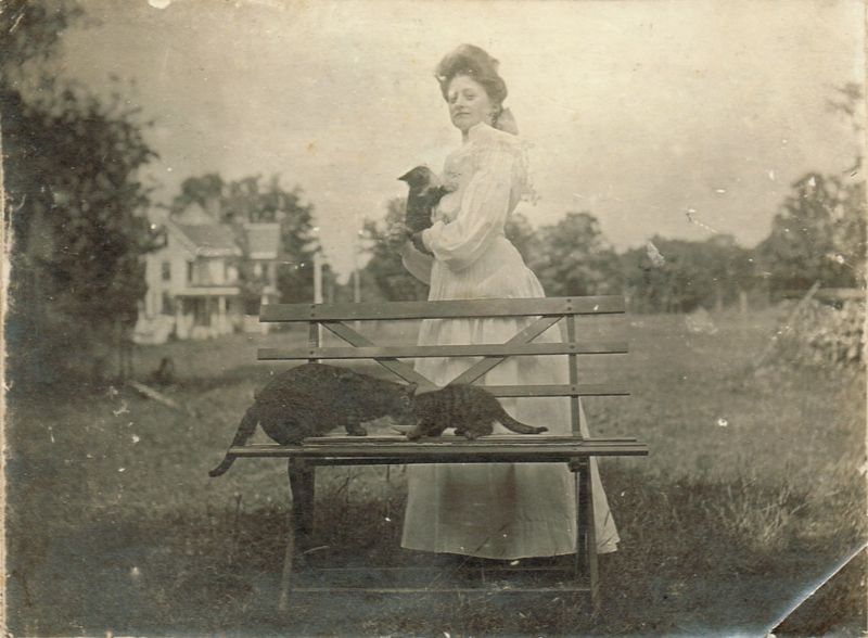 Lovely Snaps Capture People With Their Cats Over 100 Years Ago ...