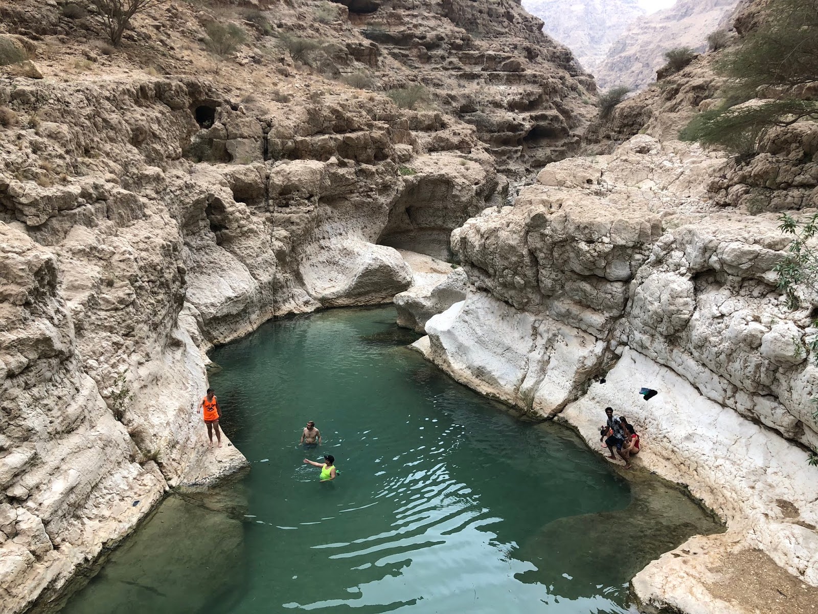Adela Tarpan: Wadi Wadi Wadi