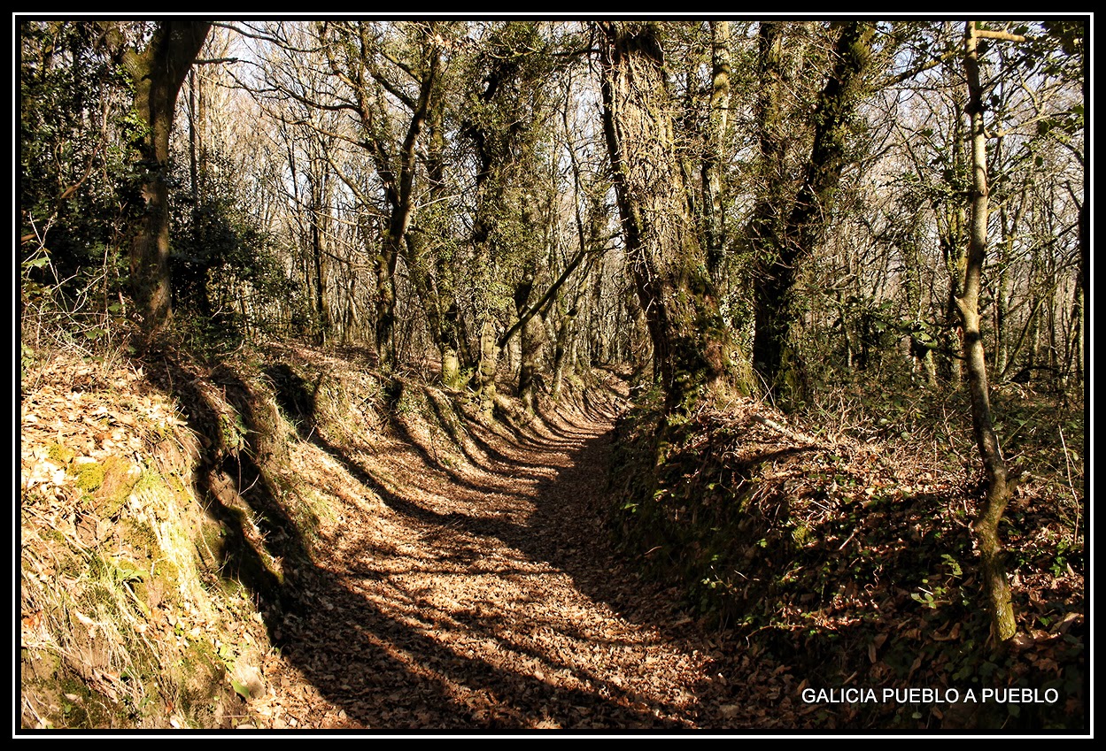 GALICIA PUEBLO A PUEBLO: CARBALLEIRA DA CASA DO GADO, SOBRADO