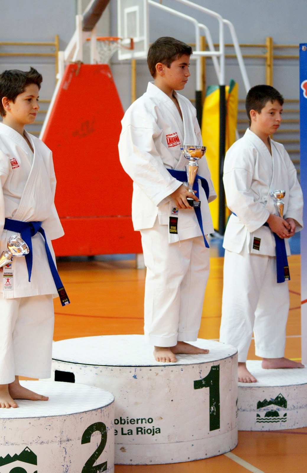 Kárate*modalidad kumite