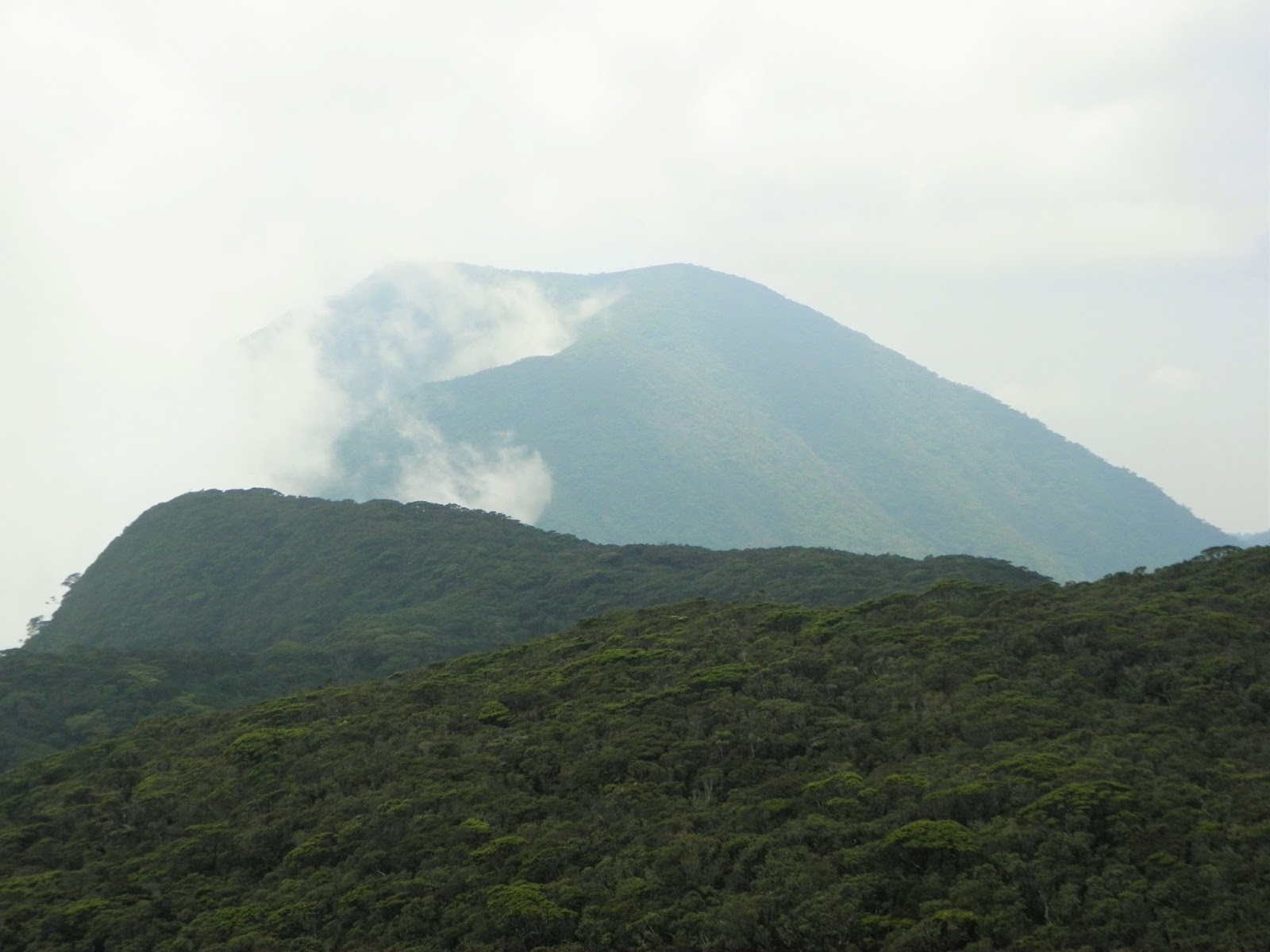 Hiking The Monkey Trails Of Mt. Tabayoc In Kabayan, Benguet