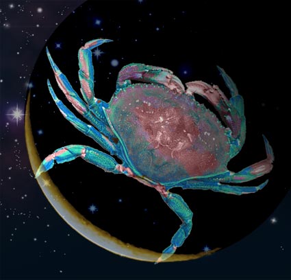 Astroboss: Sakrit ce nas ludi mjesec, zora rujna.... Mesec u Raku