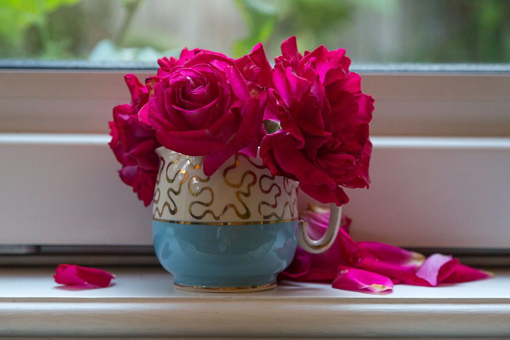 Shadows & Light: A Pitcher of Roses