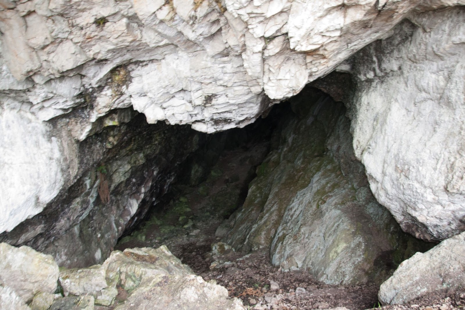 Islay Natural History Trust: February 2013