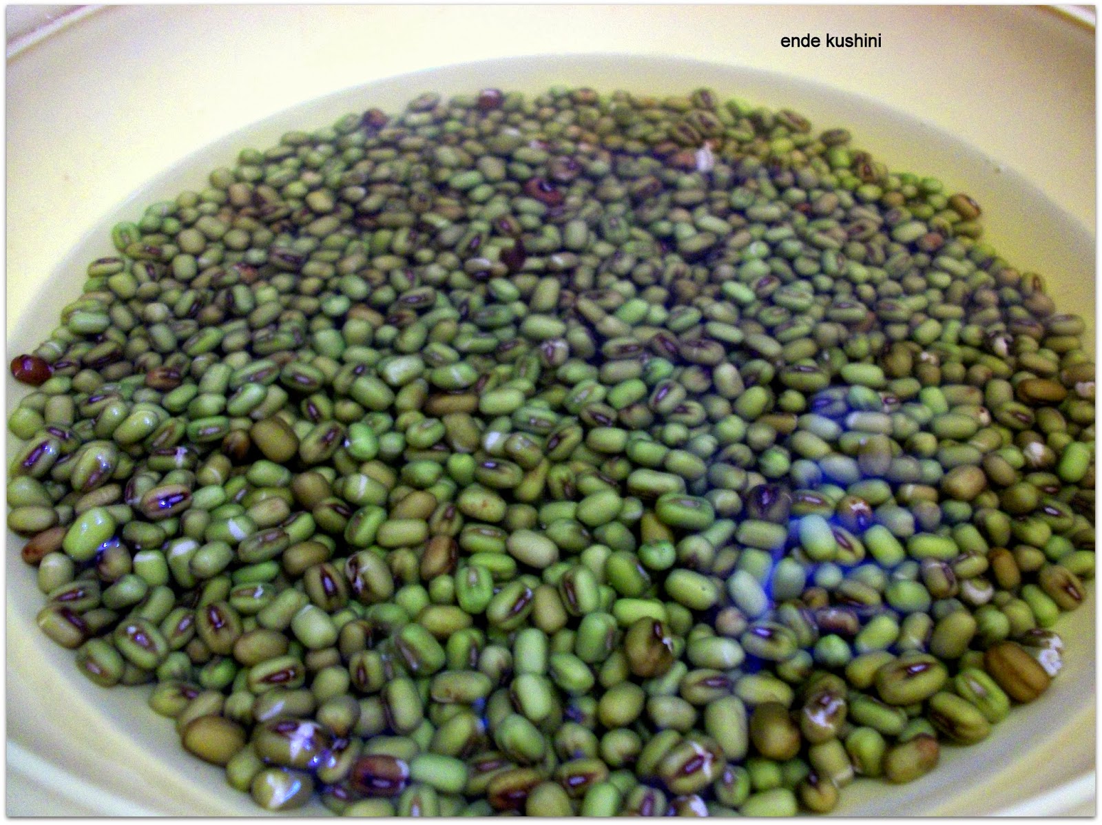 Ende Kushini: Moong Sprouts - Green Gram Sprouts - How to make at home