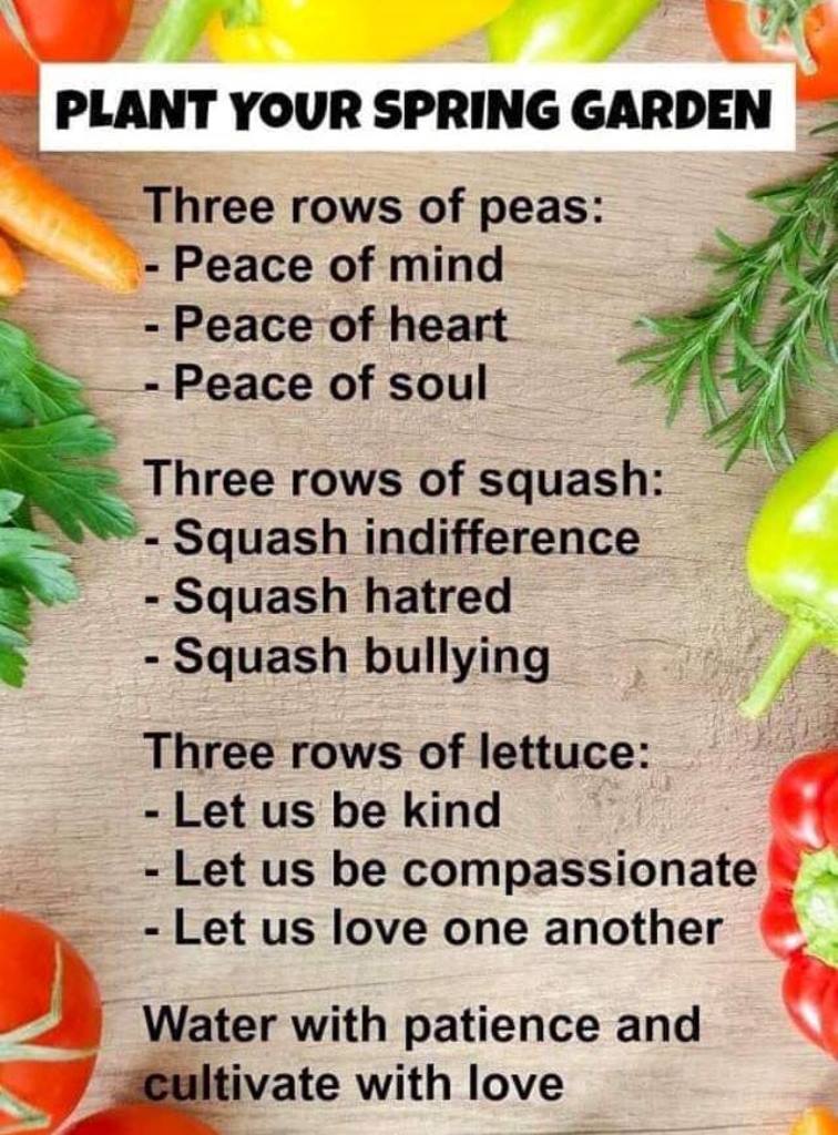 The Lady(Bug) of the Household: Helpful Hints & Tips