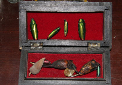 Inilah Susuk Yang Sering Dipakai Para Artis Indonesia