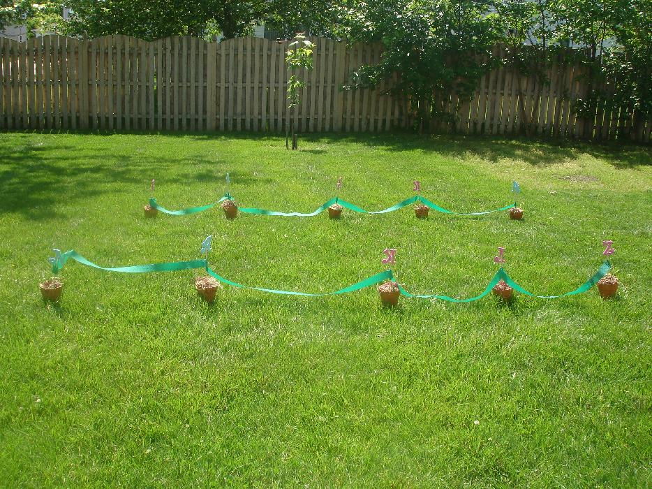 Daisy Troop Activities: The Bridging from Girl Scout Daisies to Girl ...