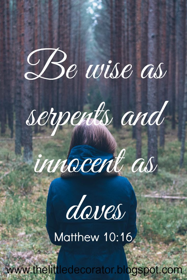 Wise as Serpents