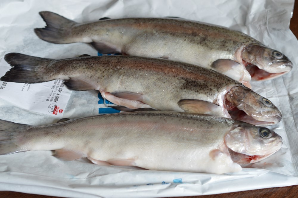 Pastrav prajit, cu mamaliga si usturoi - CAIETUL CU RETETE