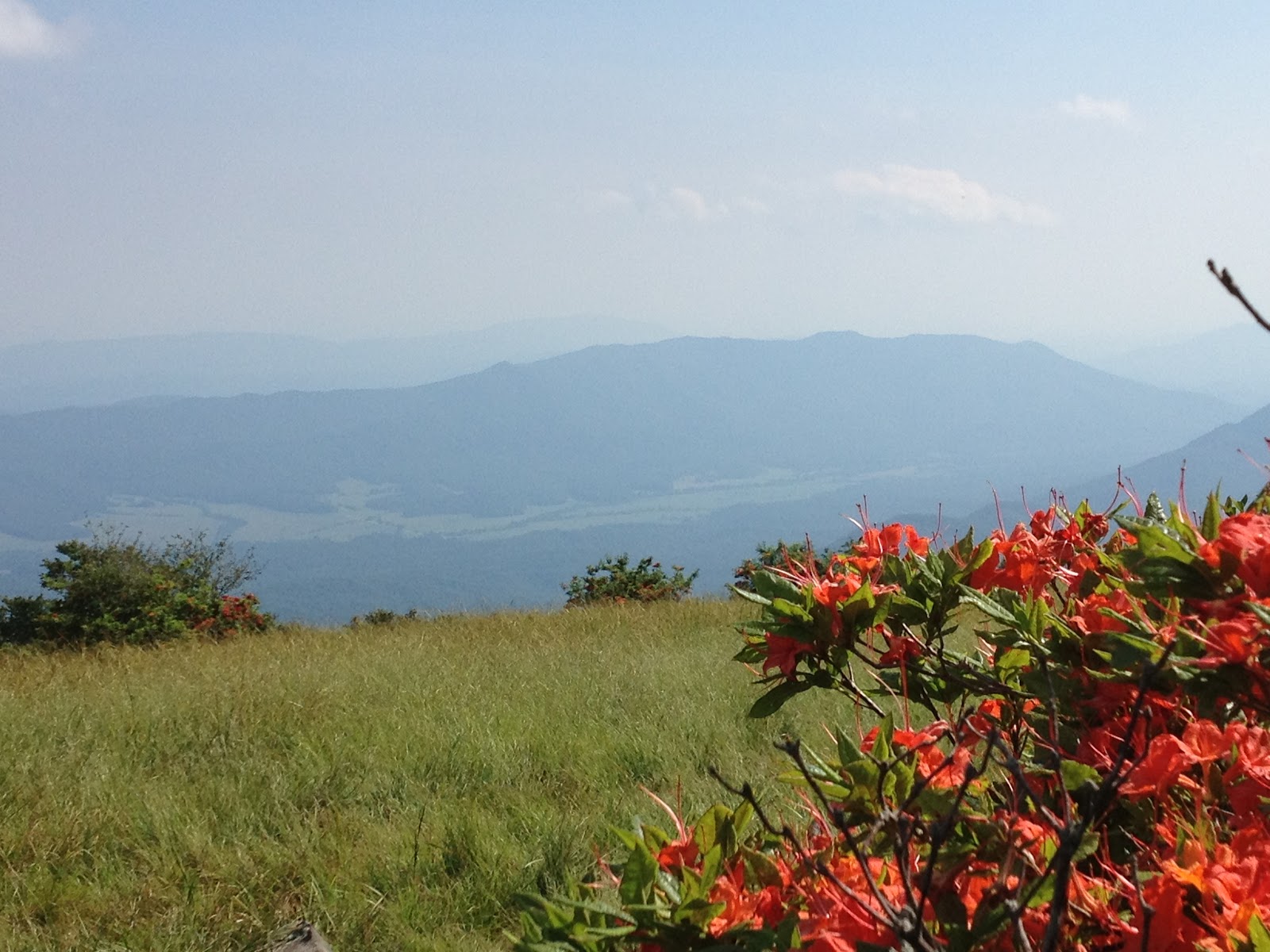 Hiking to the Heights: Flaming Glory on Gregory's Bald