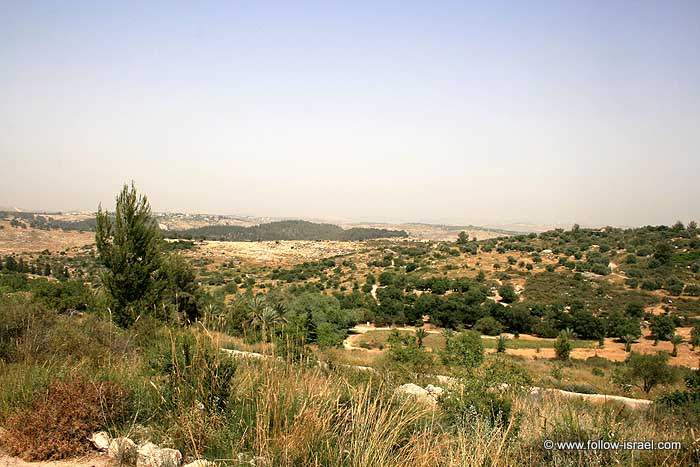 Israel in photos: Neot Kedumim (the Biblical Landscape Reserve in Israel)