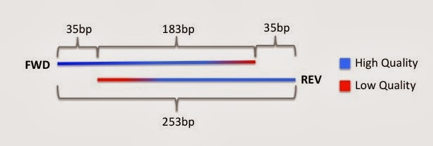 The in silico lens: Merging Overlapping Paired-End Reads