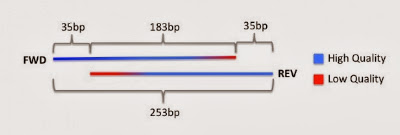 The in silico lens: Merging Overlapping Paired-End Reads