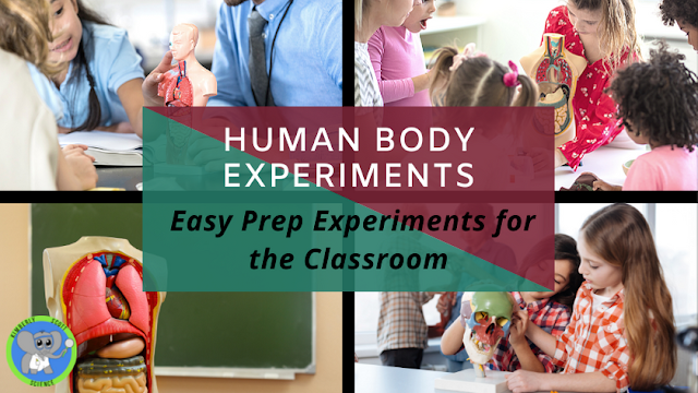 Easy Prep Human Body Experiments for the Classroom