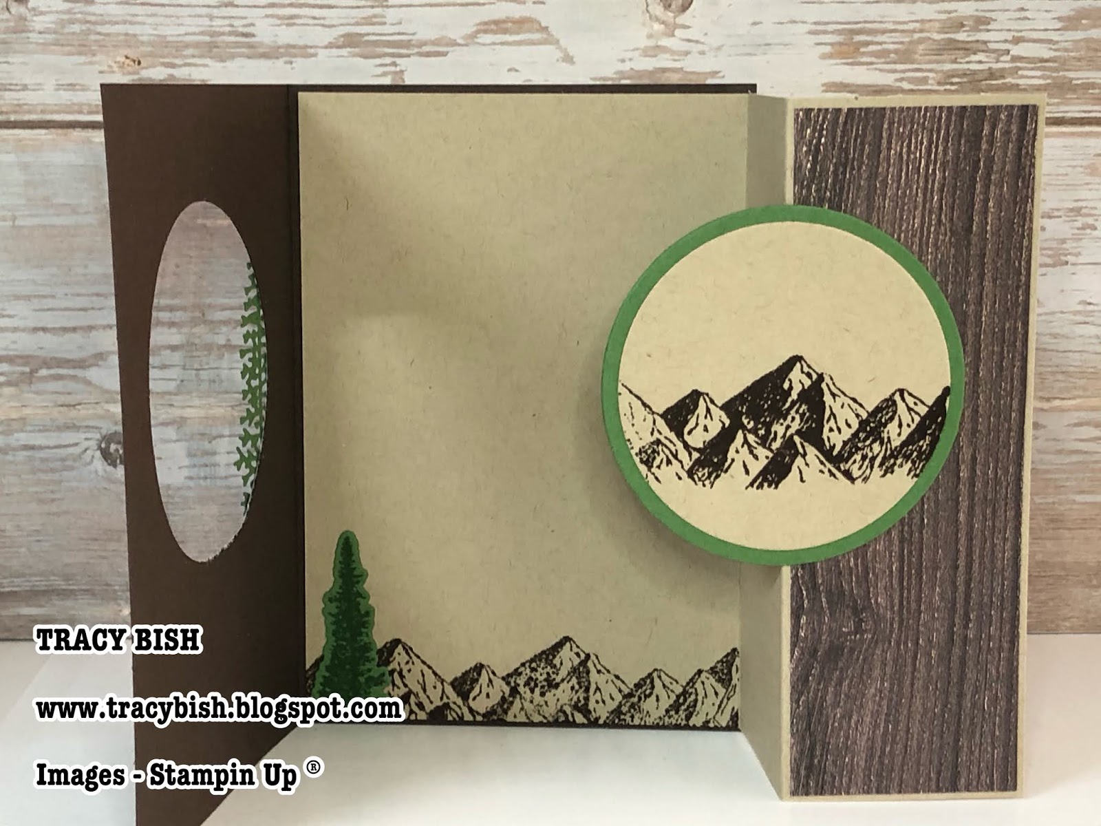 "The Great Outdoors" Fun Fold Card! - Tracy Bish
