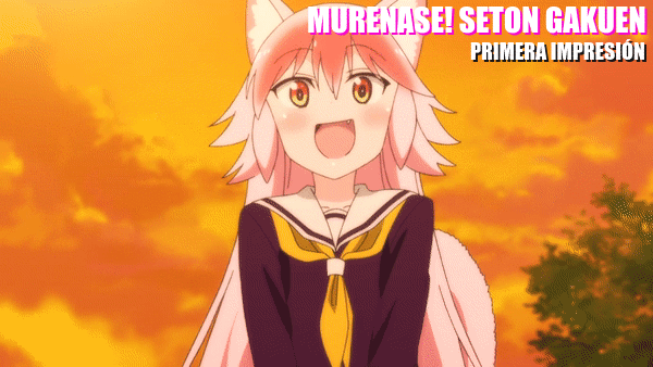 Primera impresion: Seton Academy: Join the Pack! - AnimeJQ: Blog de ...