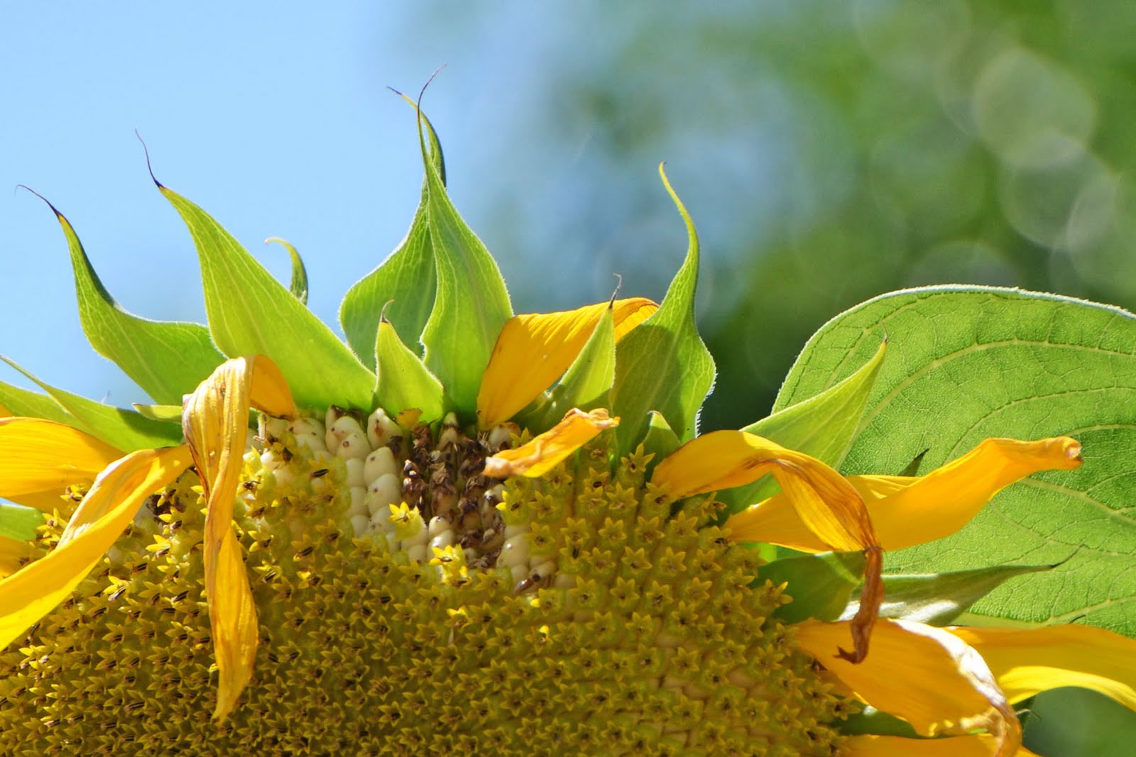 Snippets from Springdale: Zoo Zunday