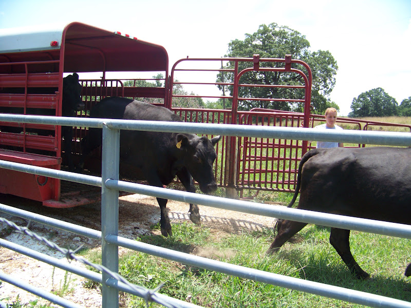 The Ferrell Boys and Me . . .: Ferrell Farm Facts - Part 1