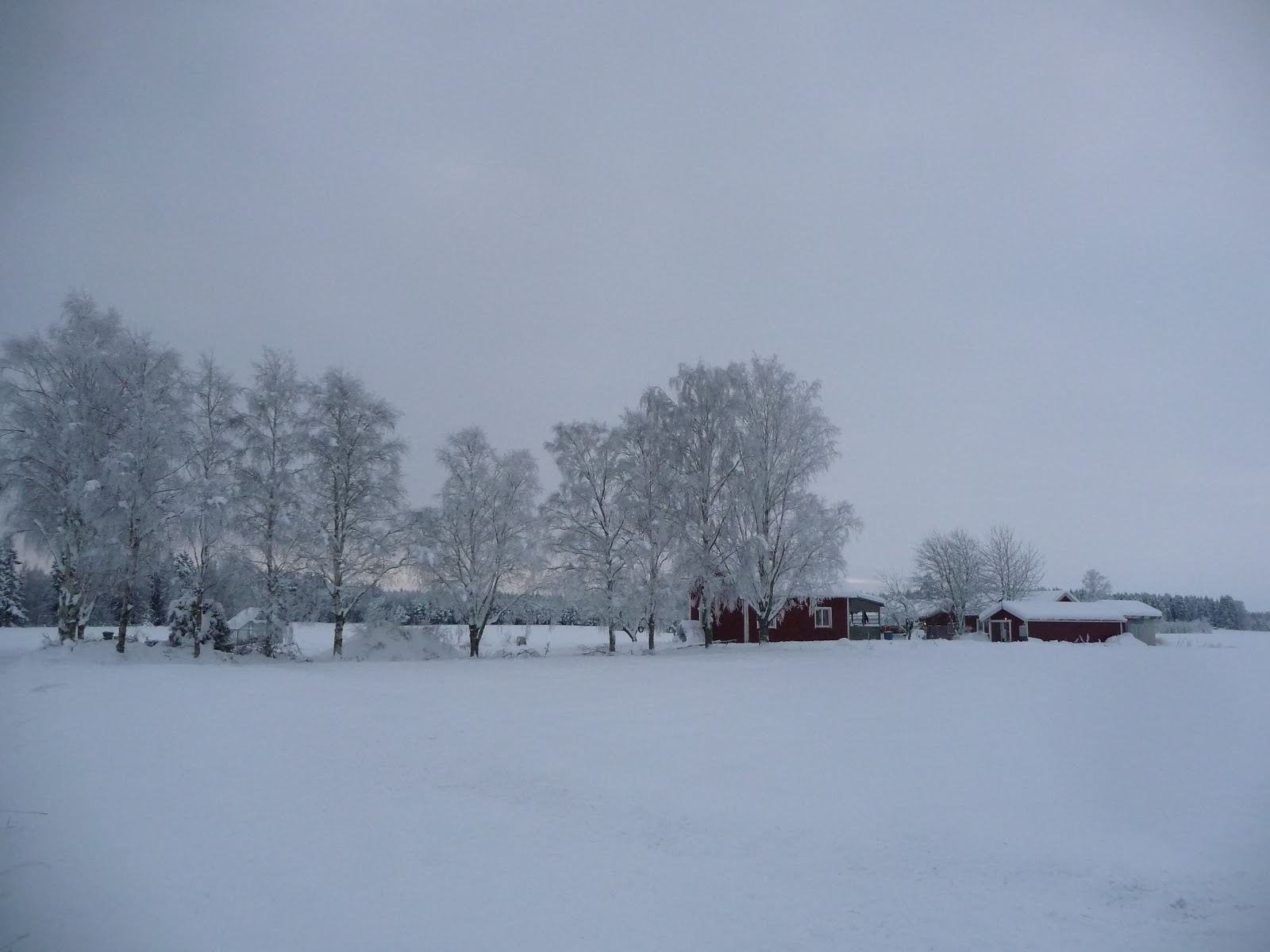 Niras blogg: Fin fina vinterbilder!