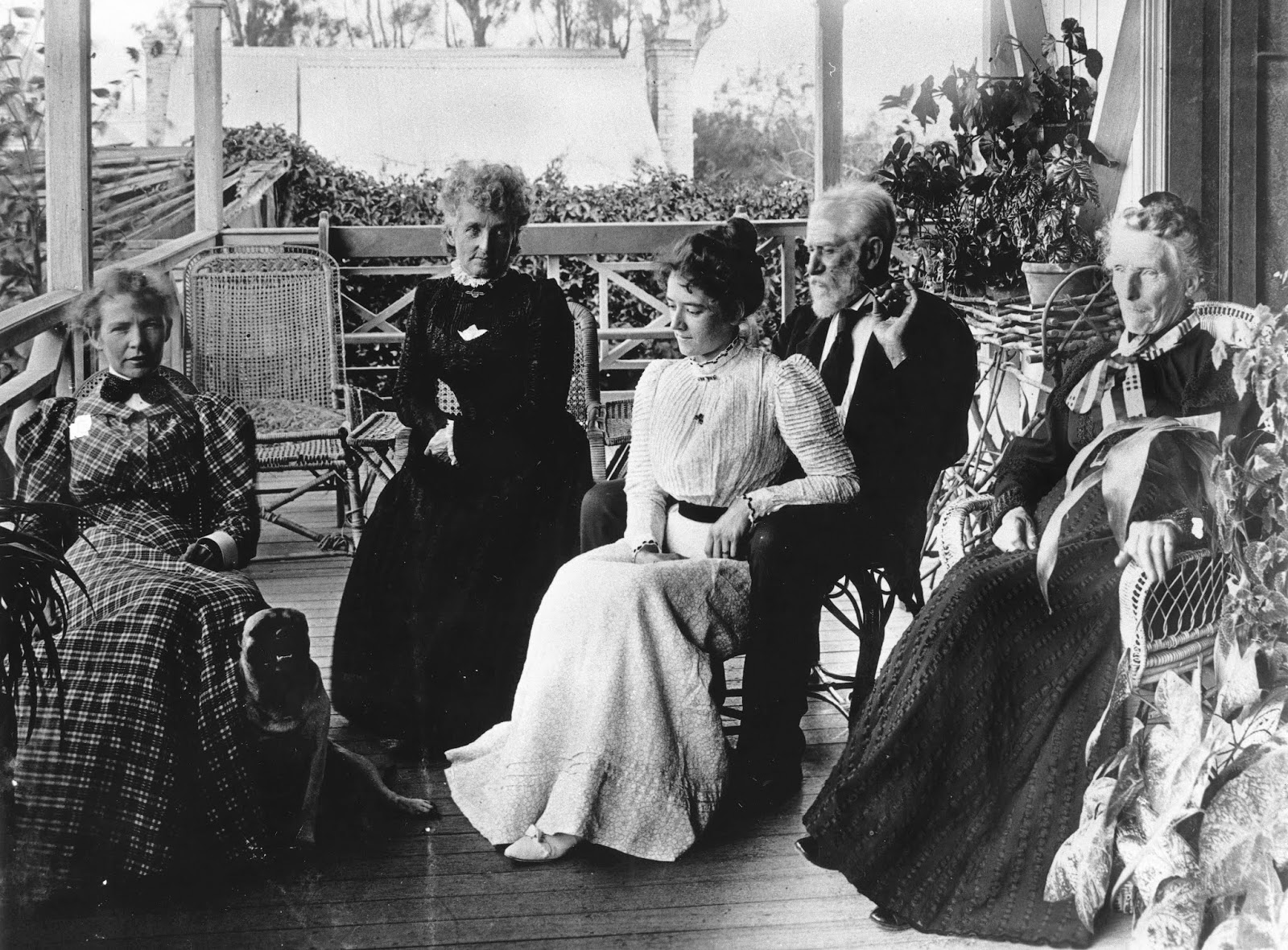 Francis Gilroy : Alder's and the Woodyatt's