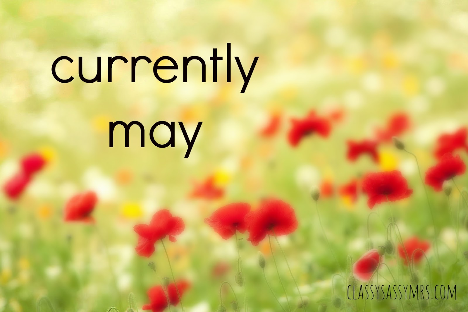 The Moy Life: Currently | May