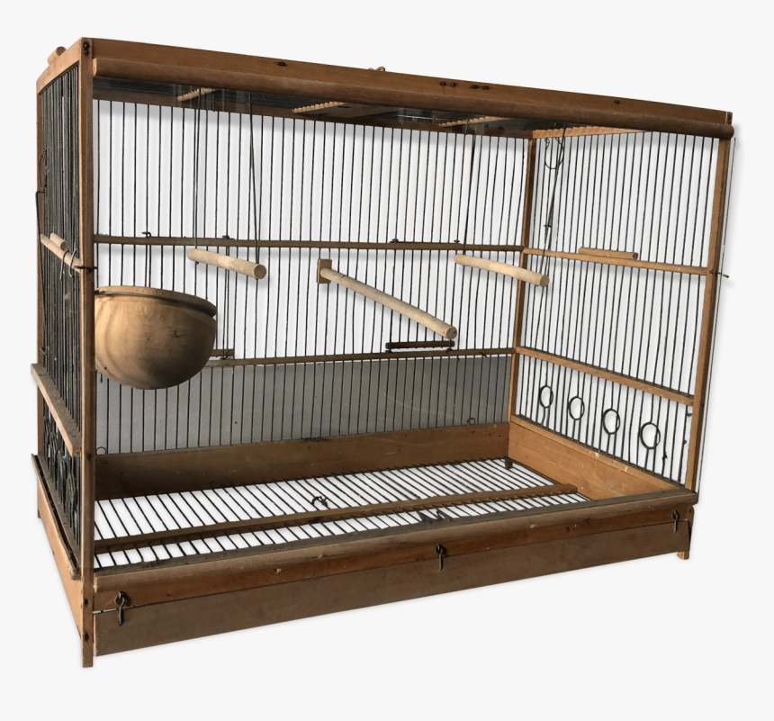 Importance about birds cage size