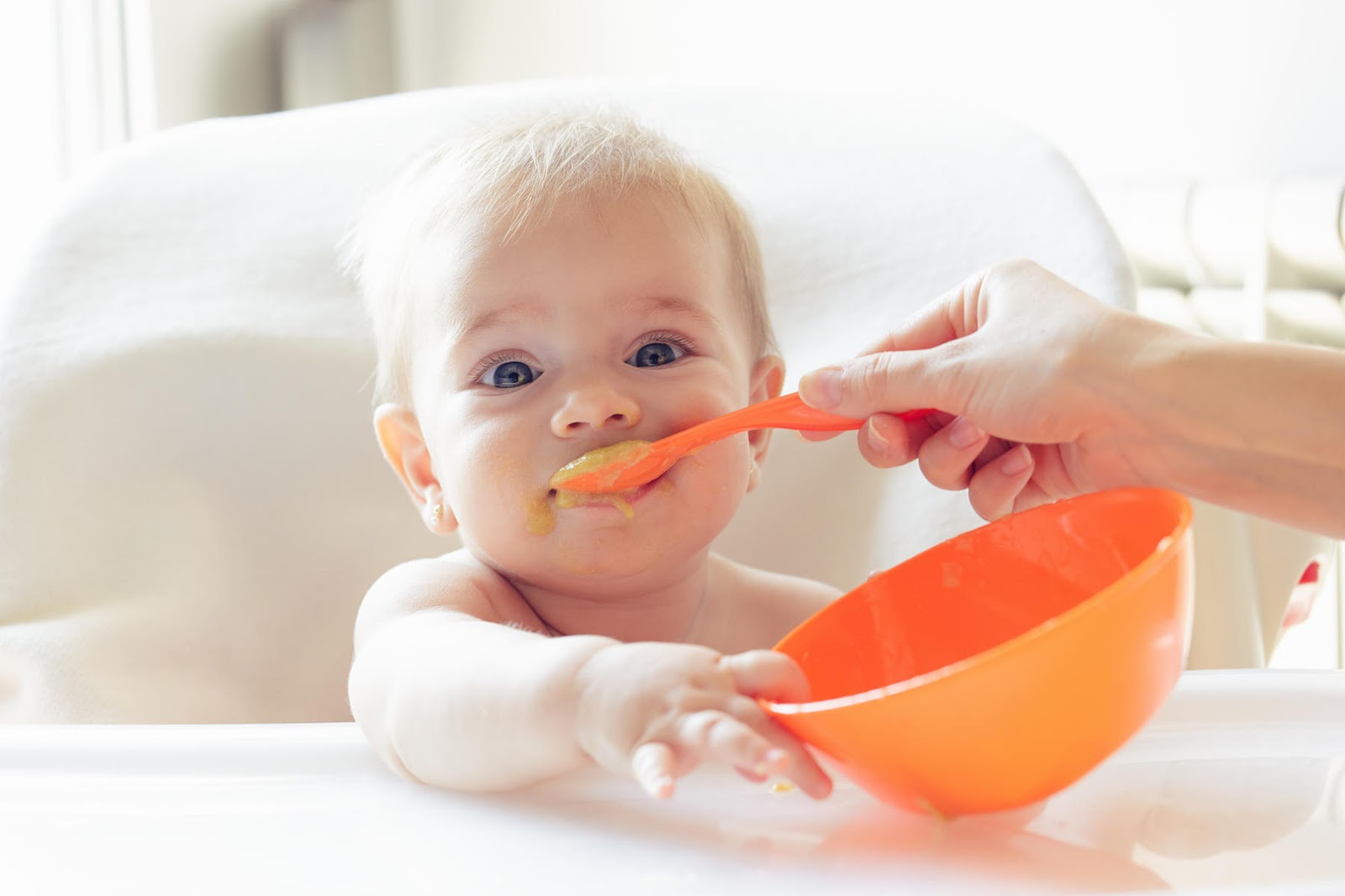 3 Best Foods To Improve Baby Brain Development During Pregnancy 3-best-foods-to-improve-baby-brain-development-during-pregnancy