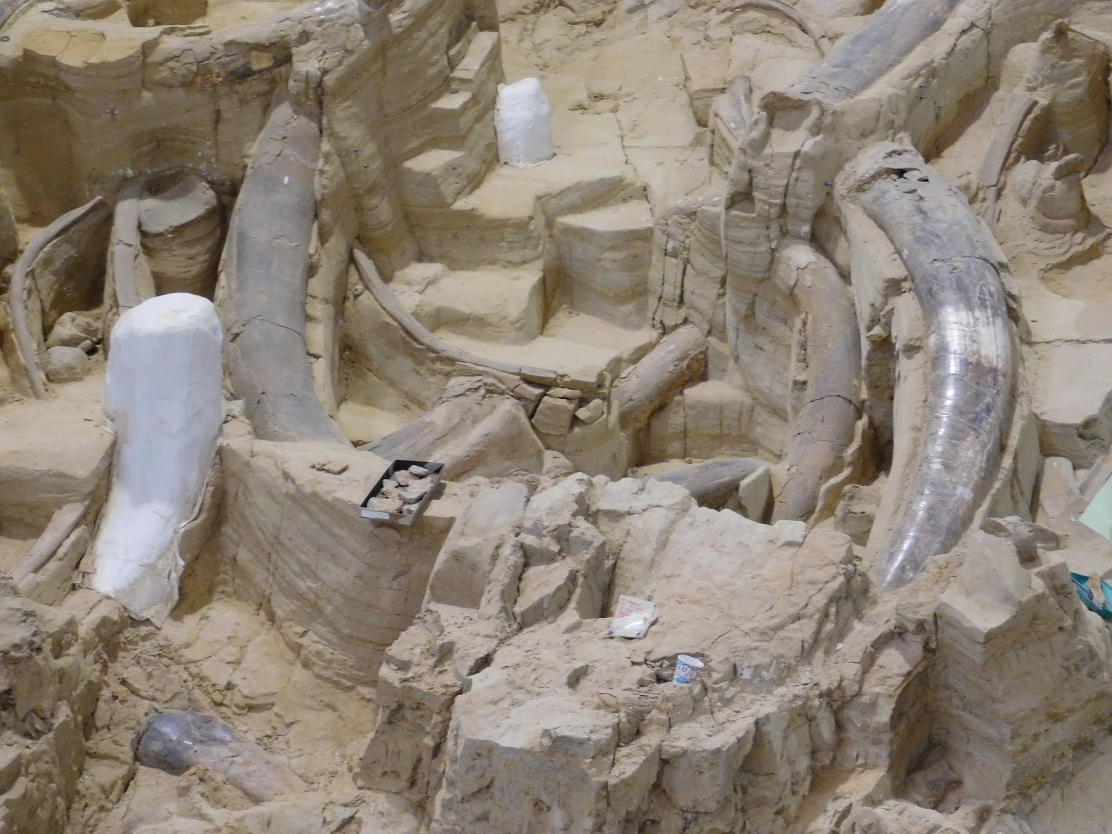 Visiting Mammoth Dig Site and Evan's Plunge