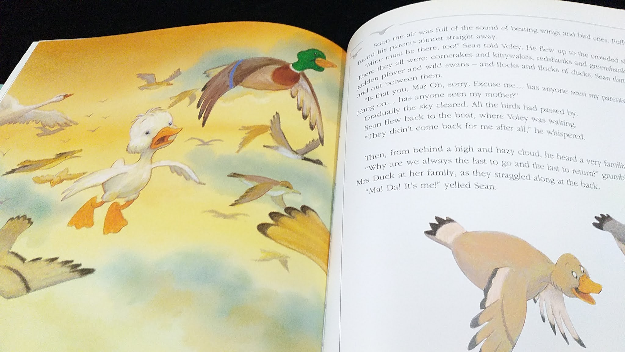 Kid Books Blog: 246.This Way Ruby / The First Snow of Winter