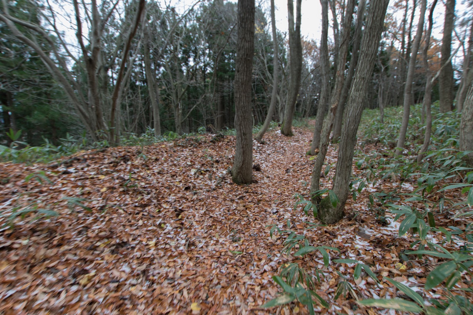 Obasawa Castle -Numerous dry moat defense line toward strong relative ...