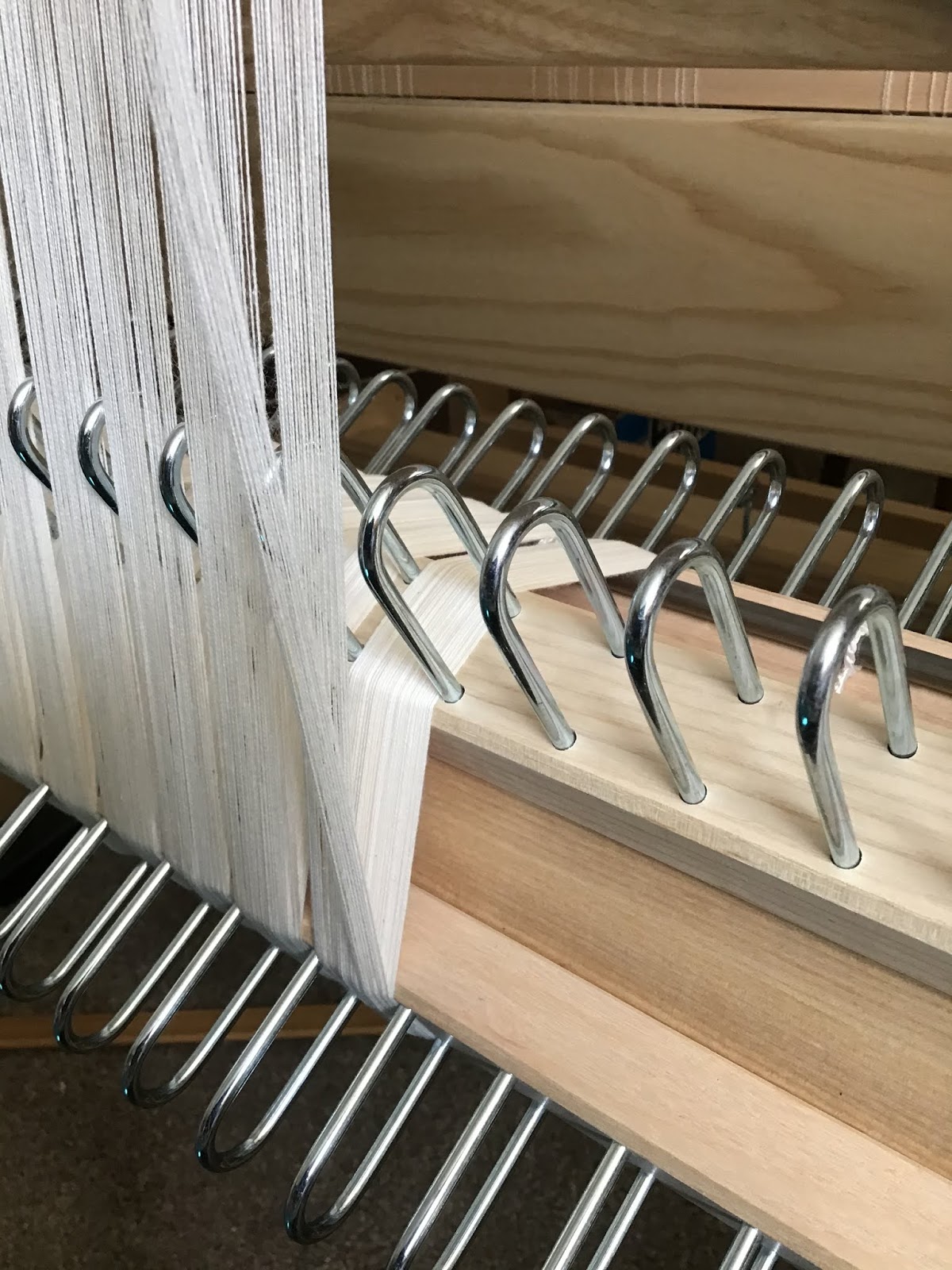 Weaving a Life: Tortoise