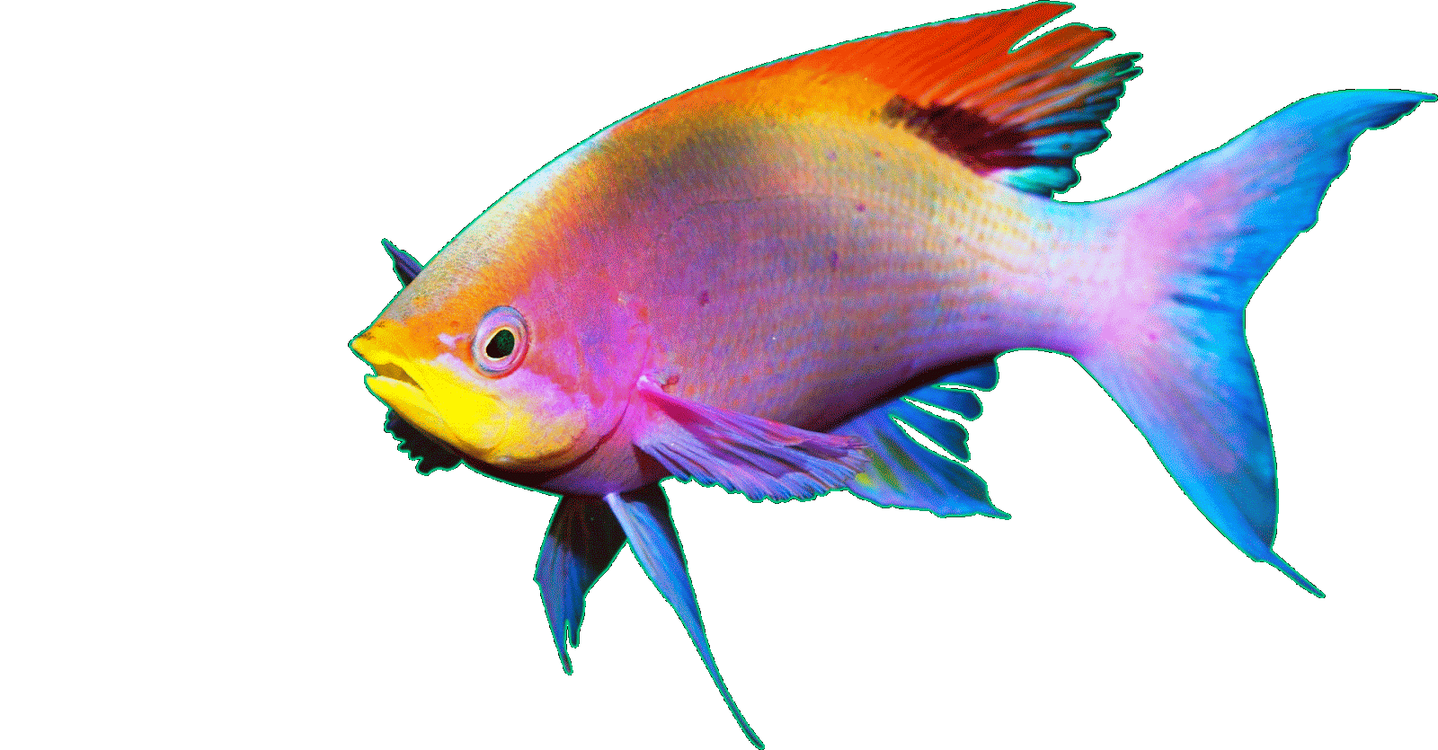 la ciencia: septiembre 2015