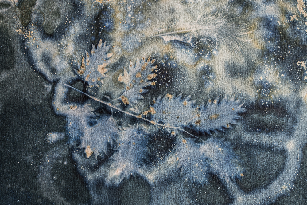 Ann Miles Blog: Cyanotype Session - Rest of images