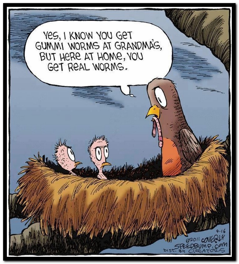 Chuck's Fun Page 2: Assorted single-pane cartoons - 30 images