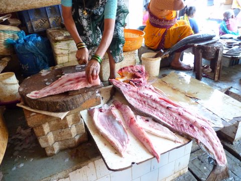 Rushina Munshaw Ghildiyal: A Fishing trip ! To Mahims City Lights Fish ...