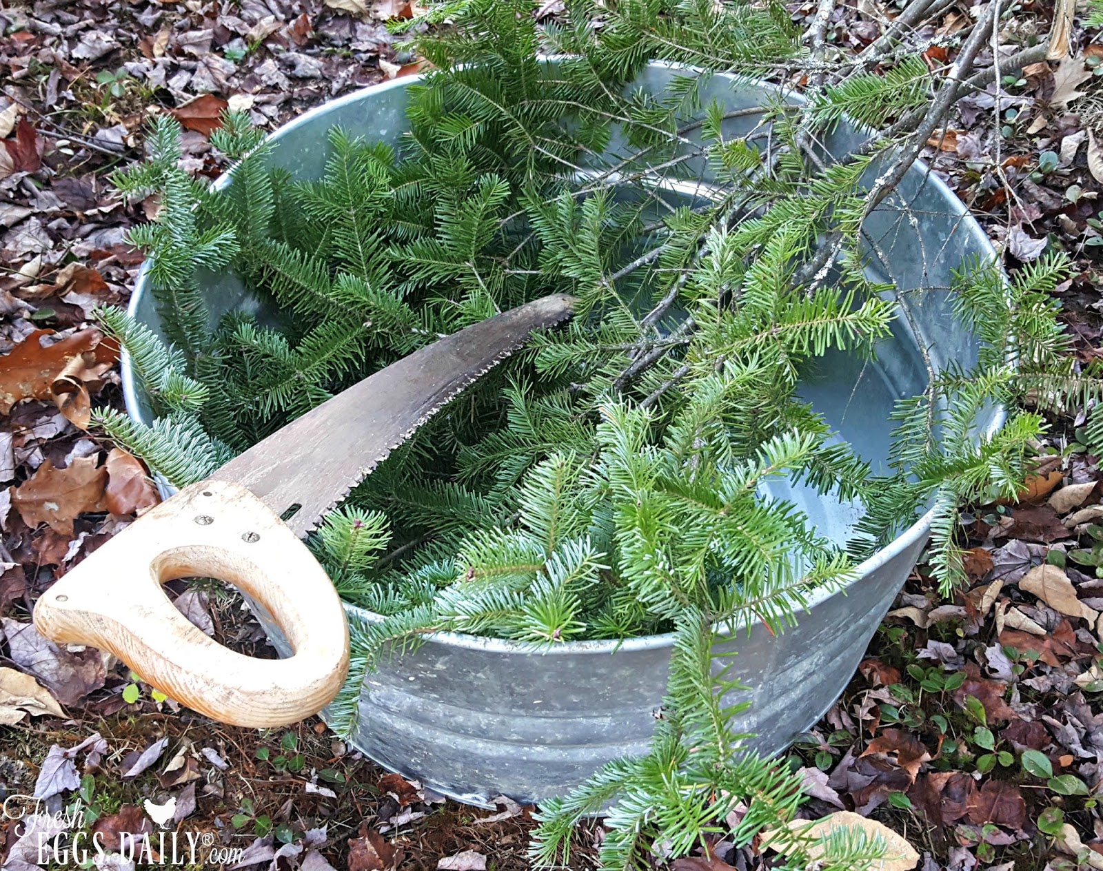 Easy DIY Duck or Chicken Teepee - Fresh Eggs Daily® with Lisa Steele